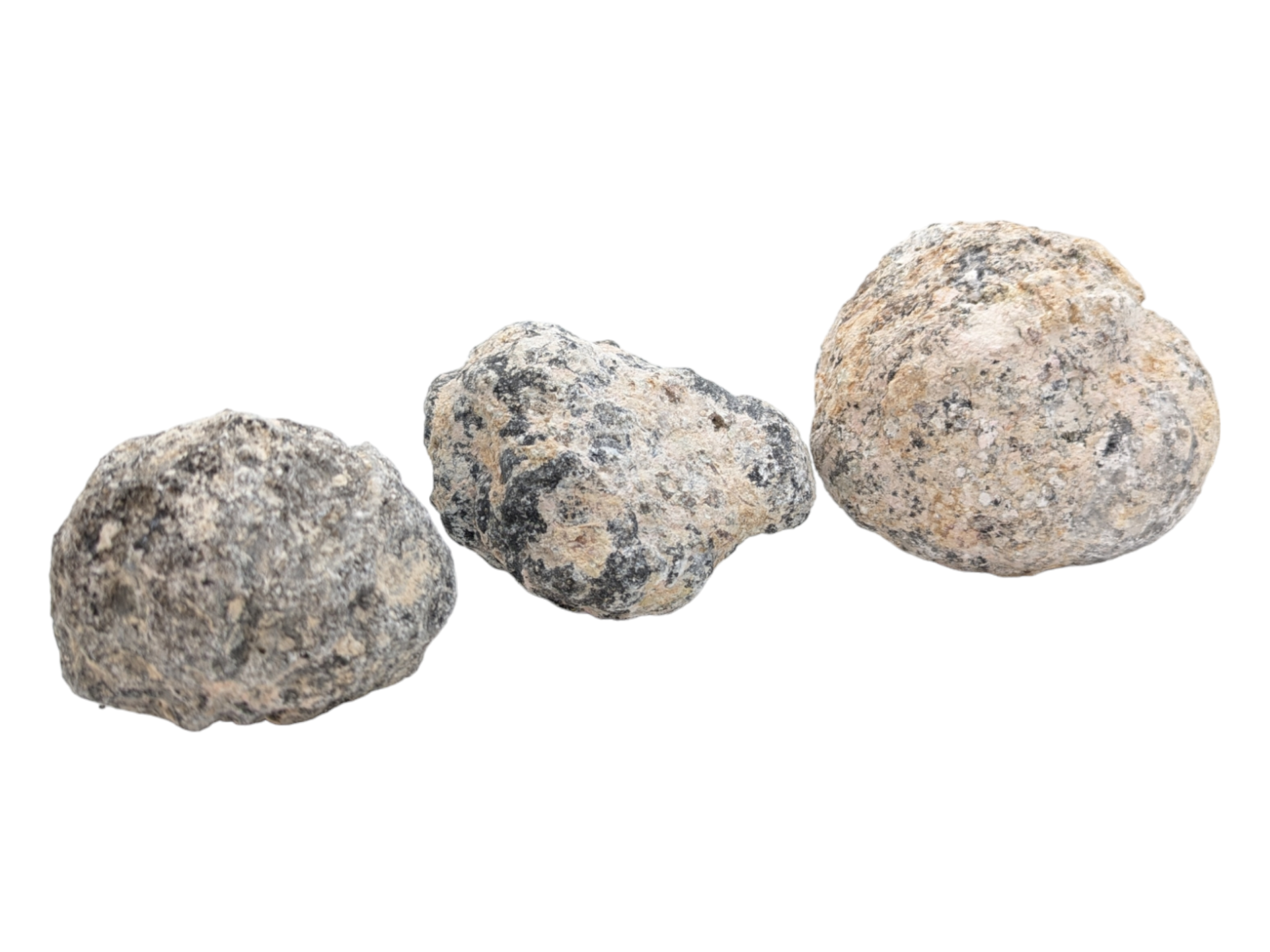 Unopened Geodes | The Ore Cart Rock Shop
