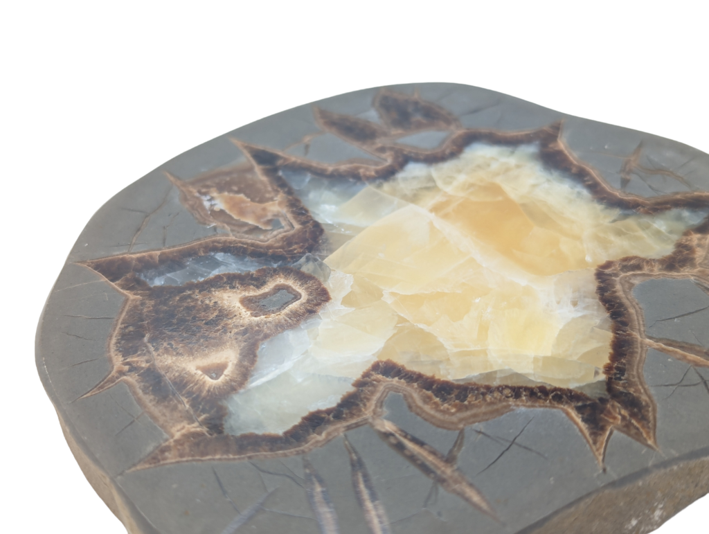 Septarian Slice | The Ore Cart Rock Shop