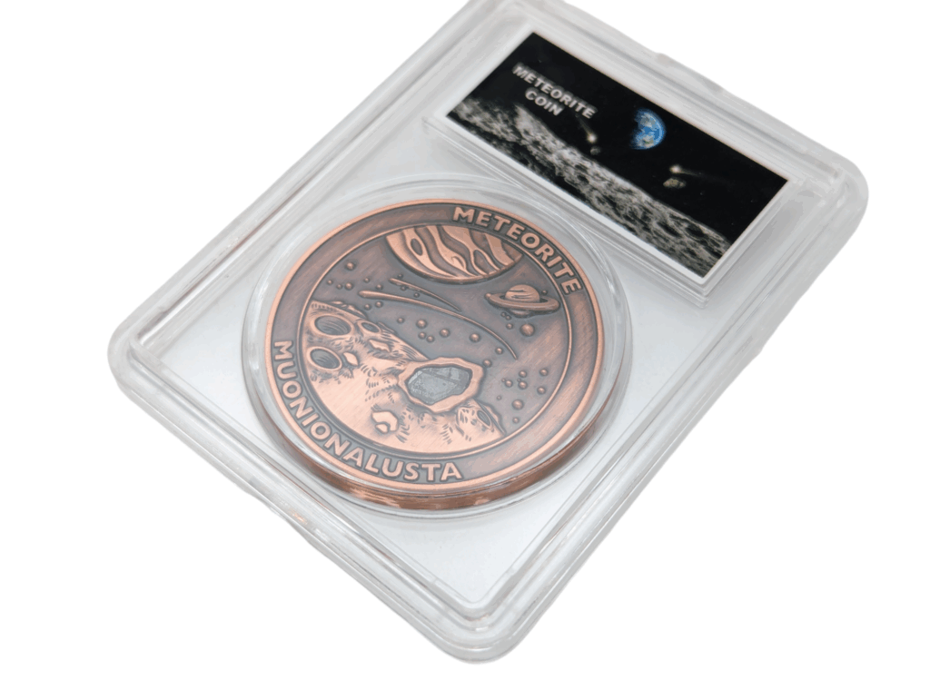 Bronze Muonionalusta Meteorite Coin | The Ore Cart Rock Shop